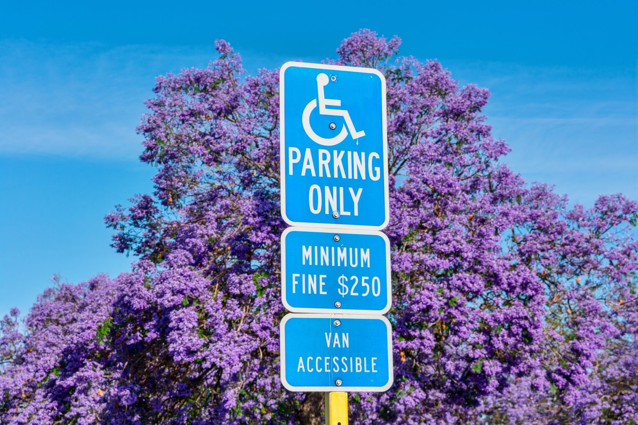 Ada,Handicapped,Sign:,Parking,Only,(with,Handicapped,Wheelchair,Symbol ...